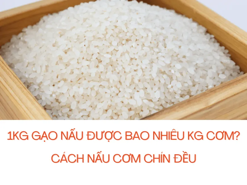 1Kg gạo nấu được bao nhiêu Kg cơm? Cách nấu cơm nở đều