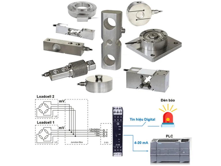 Loadcell là gì? Phân loại và nguyên lý hoạt động loadcell